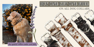 Bethany Rae Cowhide Leather Accessories – Bethany Rae UK